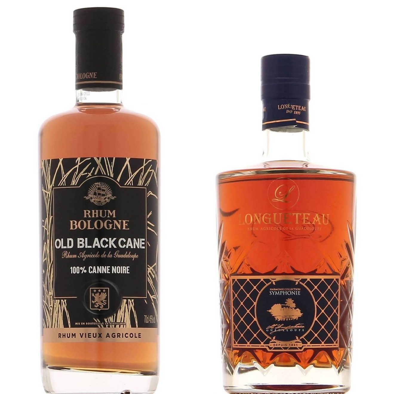 Special offer Route du Rhum Bologne Old Black Cane + Longueteau ...